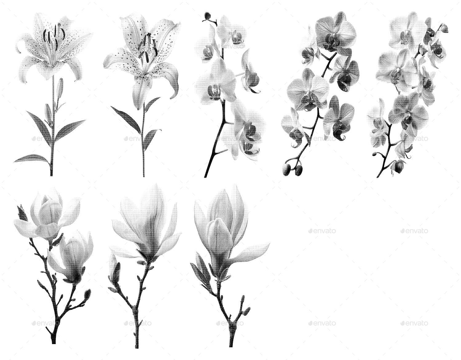 Halftone Flowers | 45 Image Pack, Graphics | GraphicRiver